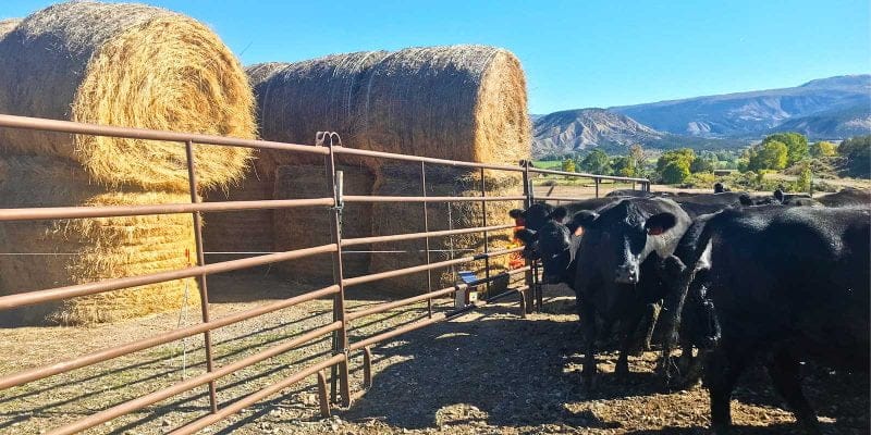 Welcome to Colona, Colorado! - Colona, Colorado